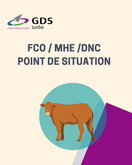 DNC, FCO et MHE : POINT DE SITUATION AU 20/11/2025 - Groupement de ...