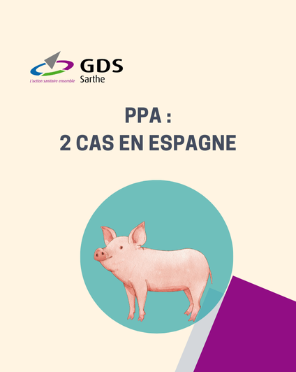 PESTE PORCINE AFRICAINE : 2 CAS EN ESPAGNE - Groupement de Défense ...